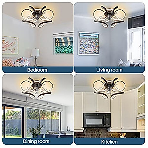 AHIAOIWRA Ceiling Fans with Lights, Modern Flush Mount Low Profile, Dimmable and Bladeless Ceiling Fans with Remote Control, 3 Light Color and 6 Speeds for Living Room, Bedroom, Kitchen, Black