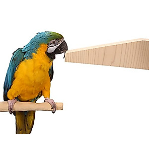Parrot Chew Stix (Parrot Chew Stix - Set of 6 Parrot Toys)