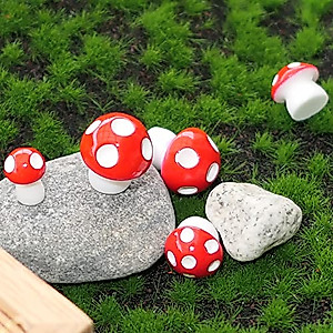 HADDIY Mini Mushrooms Decorations,60 Pcs Tiny Resin Miniature Mushroom Figurines for Crafts,Bonsai and Fairy Garden Accessories(Red)
