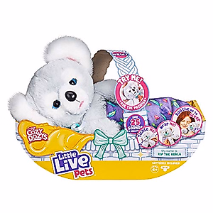 Little Live Pets Cozy Dozy Kip The Koala Bear - Over 25 Sounds and Reactions | Bedtime Buddies, Blanket and Pacifier Included | Stuffed Animal, Best Nap Time, Interactive Bear - Styles May Vary