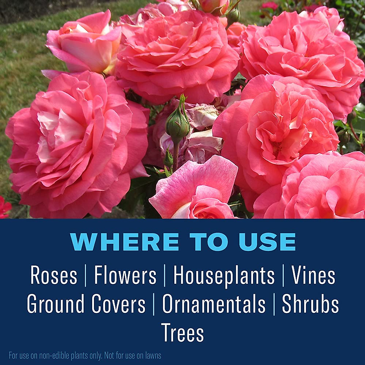 BioAdvanced 3-In-1 Insect, Disease and Mite Control, Ready-to-Use, 24 oz