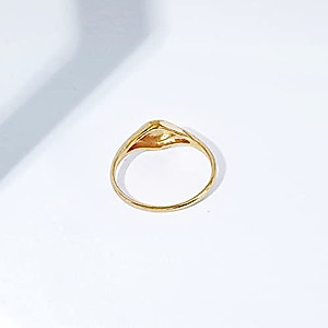 Amazon Essentials 14K Gold Plated Sterling Silver Round Signet Ring Size 6, Yellow Gold