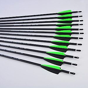 Carbon Arrows - 31 Inch Spine 500 Target Arrow with 100 Grain Removable Arrowhead for Compound Recurve Long Bows Practice & Hunting 12 Pcs