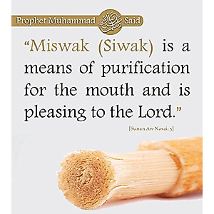 10 x Al Falah Miswak Traditional Natural Manual Toothbrush Sewak Vacummed & Packed