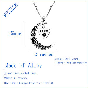BEKECH AA Sobriety Anniversary Necklace 6 Month 1 Year 2 Year 3 Year Alcohol Addiction Recovery Gift for Stay Sober Warrior Sponser Men Women (silver 1 year)