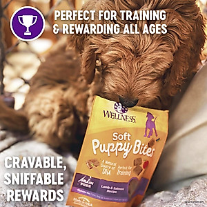 Puppy Pack: Includes Crunchy Puppy Treats And Soft Puppy Treats