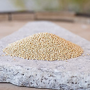 Desert Valley Premium White Millet Proso Seeds - Wild Bird Food- Cardinal, Finch & More (3-Pounds)