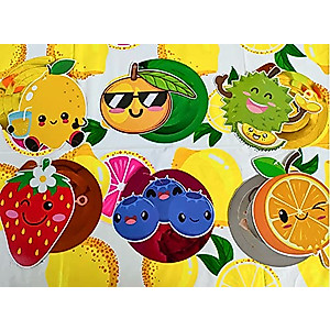 Fruit Haning Swirls Fruit Party Decorations Fruit Decorations for Fruit Themed Party Supplies Summer Party Decorations Hawaii Party Supplies