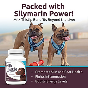 K9 Select Milk Thistle for Dogs, 100mg - 60 Beef Flavored Tablets - Canine Liver Health Natural Milk Thistle Supplement - Liver Supplement - Liver Support Supplement - Milk Thistle Herbal Supplements