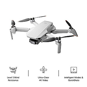 DJI Mini 2 Ultralight & Foldable Drone Quadcopter with Remote Controller - Gray (Renewed)