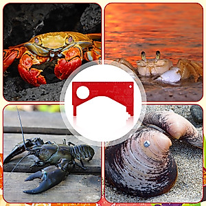 Kathfly 4 Pcs Dungeness Crab Gauge Measure Clam Measuring Tool for Multi Shrimps Lobster Shellfish, Red