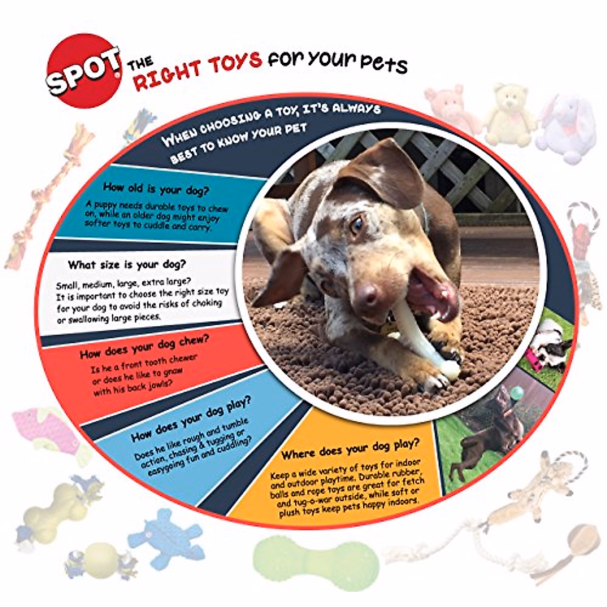 SPOT Ethical Pet Interactive Seek-A-Treat Shuffle Bone Toy Puzzle That Will Improve Your Dog's IQ, Specially Designed for Training Treats