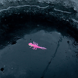 Northland Fishing Tackle Impulse Rigged Tungsten Mayfly Jig for Ice Fishing Panfish, Glo White, 1/16 Oz #10 Hook, 5/Card