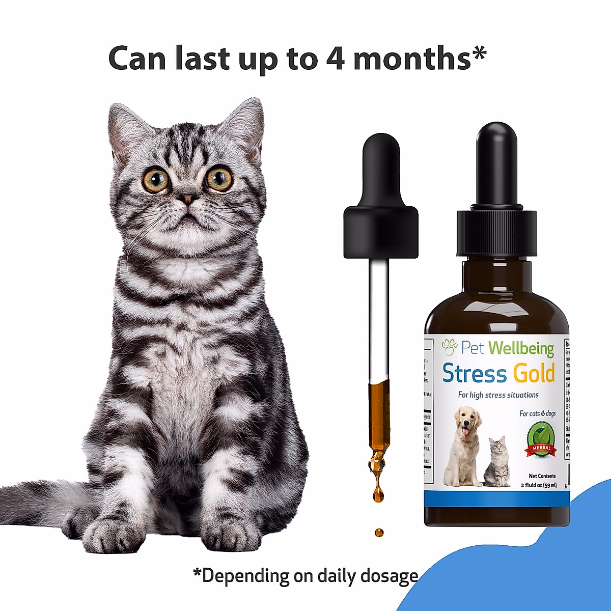 Pet Wellbeing Stress Gold for Cats - Occasional High Stress and Restlessness, Supports Relaxation, Travel, Vet Trips, Skullcap, Valerian - Veterinarian-Formulated Herbal Supplement 2 oz (59 ml)