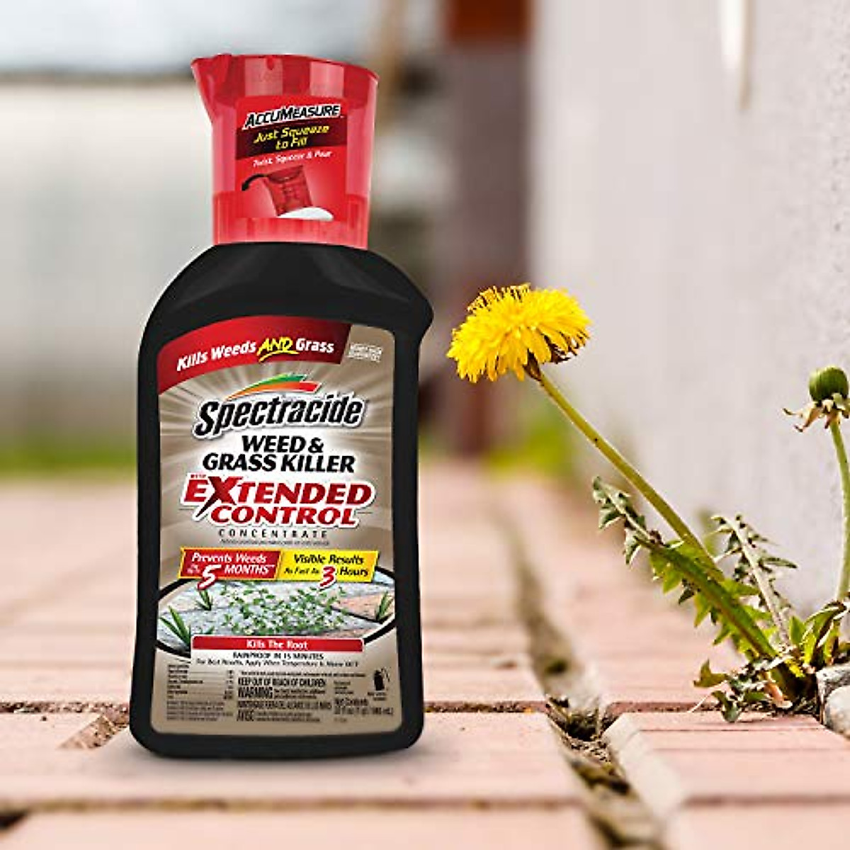 Spectracide Weed and Grass Killer with Extended Control Concentrate, 32 Ounces, with Accumeasure System (Case of 6)