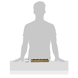 Beech-Nut Stage 1 Beef and Broth, 2.5 Ounce (Pack of 10)