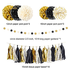 NICROLANDEE Black Gold Party Decoration, 23PCS Tissue Paper Pom Poms Kit Hanging Polka Dot Paper and Tissue Tassel for Birthday, Graduation, Wedding, New Years Decorations