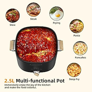 Audecook Hot Pot Electric, 2.5L Portable Nonstick Multicooker, Shabu-Shabu Pot, Travel Electric Skillet with Dual Power Temperature Control for Noodles/Soup/Egg/Steak/Oatmeal/Porridge(Black)