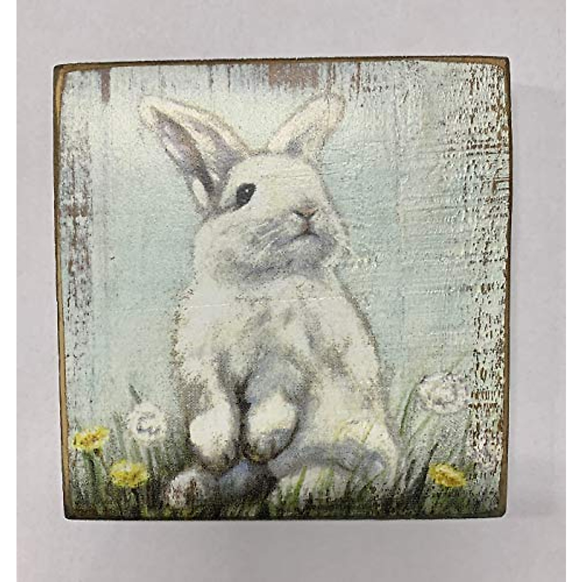 Primitives by Kathy Home Décor Sign With a Bunny in Dandelions: perfect for home, office, housewarming, gift,6" x 6" x 1"