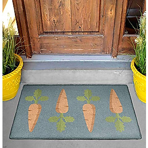 Brumlow MILLS Spring Carrots Easter Print Indoor or Outdoor Area Rug for Living Room, Bedroom Carpet, Dining, Kitchen or Entryway Rug, 30" x 46"