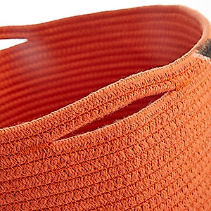 Idea Nuova Space Jam: A New Legacy Rope Storage Organizer Bin, 15" H x 14" W