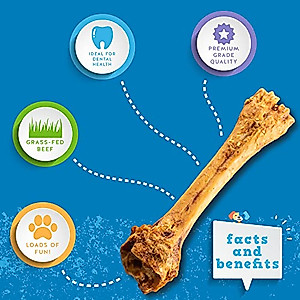 Jack&Pup 11" Shin Bones for Large Dogs | Roasted, Savory, Large Dog Bones for Aggressive Chewers (3 Bones)