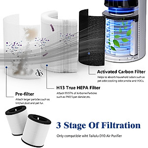 XBWW 2 Packs D10 Replacement Filter Compatible with Tailulu D10 Air Cleaner Purifier, 3-in-1 Filter of D10 H13 Grade True HEPA Filter, Activated Carbon Filter and Fine Mesh Nylon Pre-Filter