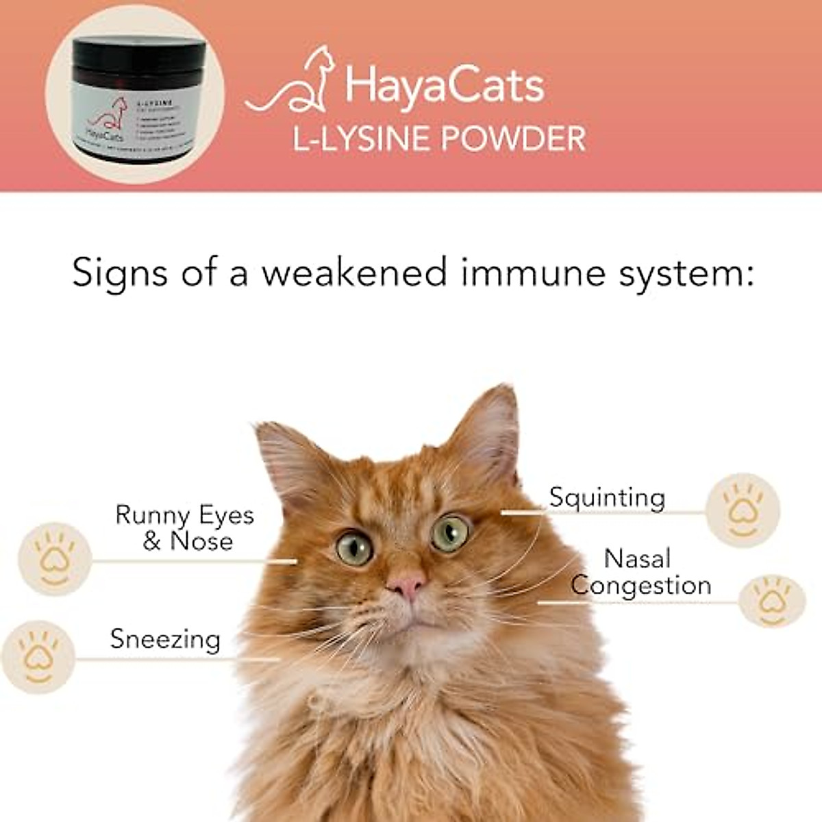 Haya Pets Lysine Cat Supplements Immunity Booster Powder for Respiratory Support, Eye Health, Runny Nose, Cat Herpes, and Allergy Support