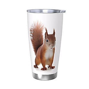 jshmgchw 3d Cute Squirrel 20oz Tumbler, Car Cup With Lid And Straw, Spill-Proof, Stainless Steel Double Wall Vacuum Insulated Reusable Coffee Travel Mug, For Cold Drinks, Hot Beverage