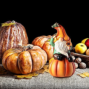 Jetec Thanksgiving Fall Gnome Statue Fall Pumpkin Gnome Decoration White Beard Figurine Autumn Resin Dwarf Elf Statue for Porch Garden Outdoor Yard Halloween Decorations, 6.7 Inch High