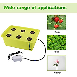 MYFULLY Hydroponic System Growing Kit | Plants Herb Garden Starter Set DIY Self Watering Indoor Hydroponics Tools with Large Bubble Stone Rockwool Bucket Air Pump (6 Sites)