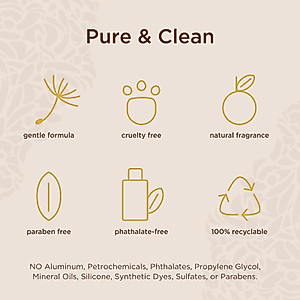 Lavanila Vanilla Sugarcane Perfume for Women, 1.7 Fl Oz - Clean and Natural Eau de Parfum Made In USA