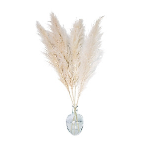 48" Extra Large Pampas Grass Stems Beige- 4 Pampas Stems - Tall-Pampas Grass for Floor Vase - Wedding Decoration