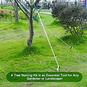 Jevrench Tree Stake Kits, Heavy Duty Tree Stakes and Supports Kits for Young Trees Against Bad Weather, 3 Pcs Tree Stake, 3 Pcs Tree Straps, 32.8 FT Rope