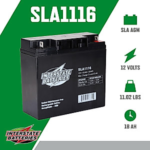 Interstate Batteries 12V 18Ah Battery (Nut & Bolt Terminal) SLA AGM VRLA Rechargeable Replacement for Solar Power, Generators, Medical Devices, Fences (SLA1116)