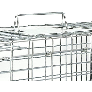 Jahy2Tech Live Animal Trap Cage 24"X8"X 7.5" Cat Trap Cage Foldable Steel Humane Catch and Release for Rabbit, Groundhog, Squirrel, Raccoon, Mole, Gopher, Cat