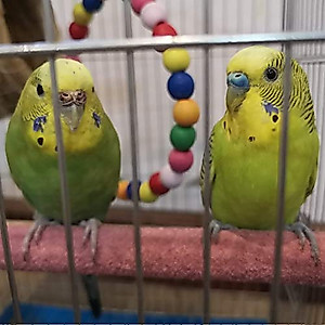 7 Pack Bird Cage Perch, Parrot Stand Wood Paw Grinding Stick for Conures Budgies Parakeet Cockatiel Conure