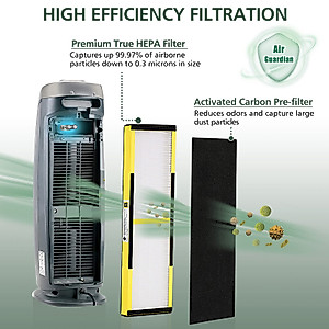 FLT4825 HEPA Filter B Replacement - Compatible with Guardian Air Purifier AC4825 AC4300 AC4800 AC4900 AC4850, 4 Pack Pet-Friendly HEPA with 6 Pre-Filters for Homes, Offices, and Pet Owners
