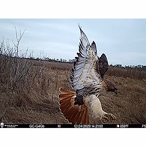 Spartan GC-Z4Gc2 Verizon 4G/LTE White Flash Spartan GoCam