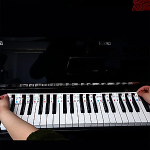 Piano Keyboard Stickers, Full-Size Piano Rake Key Labels Overlay Removable for Beginners Kids (61 Full Keys)