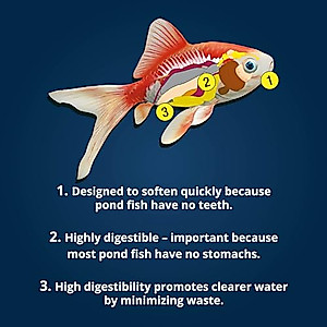 TetraPond Spring And Fall Diet 3.08 Pounds, Pond Fish Food, For Goldfish And Koi, 7 L