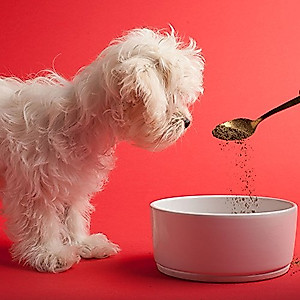 The Missing Link Puppy 8oz Supplement – Superfood Powder Promotes Growth & Development, Supports Immunity, Digestion, Bones, Skin & Coat of Dog