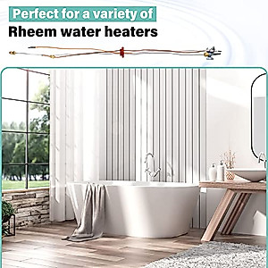 Upgrade SP20075 Pilot and Igniter Assembly Replacement Kit for Natural Gas Water Heater, Compatible with Rheem, Compatible with GE, Includes: Pilot Assembly, Burner Door Gasket, Screws, Clips