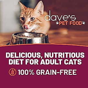 Dave's Pet Food Grain Free Wet Cat Food (Tuna & Salmon Dinner in Aspic), Naturally Healthy Canned Cat Food, Added Vitamins & Minerals, Wheat & Gluten-Free, 5.5 oz (Case of 24)