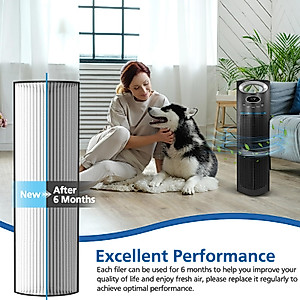 True HEPA Filter Replacement Compatible with Envion Therapure TPP440 TPP540 TPP640 TPP640S Air Purifier. Compared to Part TPP440F, 4-Stage Filtration High-efficiency Activated Carbon, 2-Pack