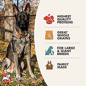 Fromm Large Breed Adult Gold Premium Dry Dog Food - Dry Adult Dog Food for Large Breeds - Chicken Recipe - 30 lb