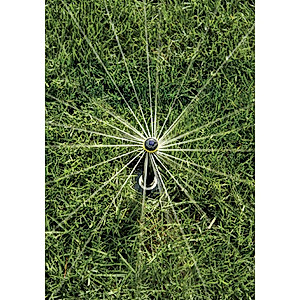 Rain Bird 22SAF Mini Rotary Pop-Up Spray, 360° Full Circle Pattern, 18' - 24' Spray Distance, 4" Pop-up Height,Blacks