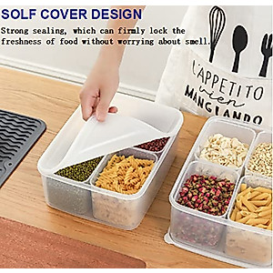 KNC Food Storage Containers with Lids Airtight,Reusable Fresh Produce Fruit Storage Organizer, Refrigerator Food Fresh Box with 4 detachable small boxes for Storing Fish, Meat, Vegetables,Grain