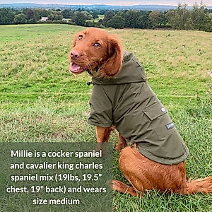 DJANGO Highland Dog Jacket and Raincoat - Water-Repellent, Windproof, and Harness-Friendly Hooded Winter Dog Coat and Raincoat with Adjustable Drawstrings and Gunmetal Hardware (Small, Olive Green)