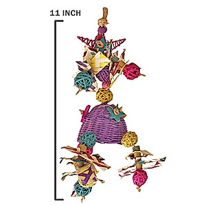 Fetch-It Pets 2 Pack Bird/Parrot Shazam & Hat Hat Hooray Foraging Toys Suitable for Small Parakeets, Cockatiel, Conures, Finches, Budgie, Macaws, Parrots, Love Birds